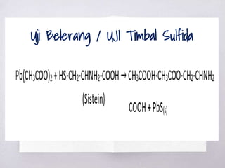 Uji Protein Biokimia | PPTX