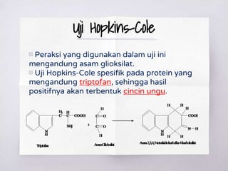 Uji Protein Biokimia | PPTX
