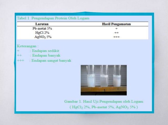 Uji Protein Biokimia | PPTX
