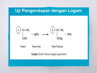 Uji Protein Biokimia | PPTX
