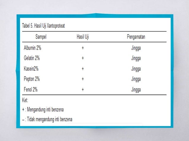 Uji Protein Biokimia | PPTX