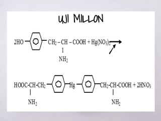 Uji Protein Biokimia | PPTX