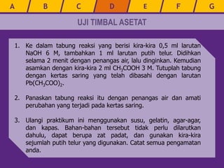 Praktikum Kimia - Uji Protein | PPTX