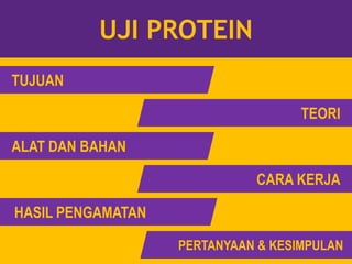 Praktikum Kimia - Uji Protein | PPTX