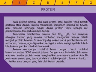 Praktikum Kimia - Uji Protein | PPTX