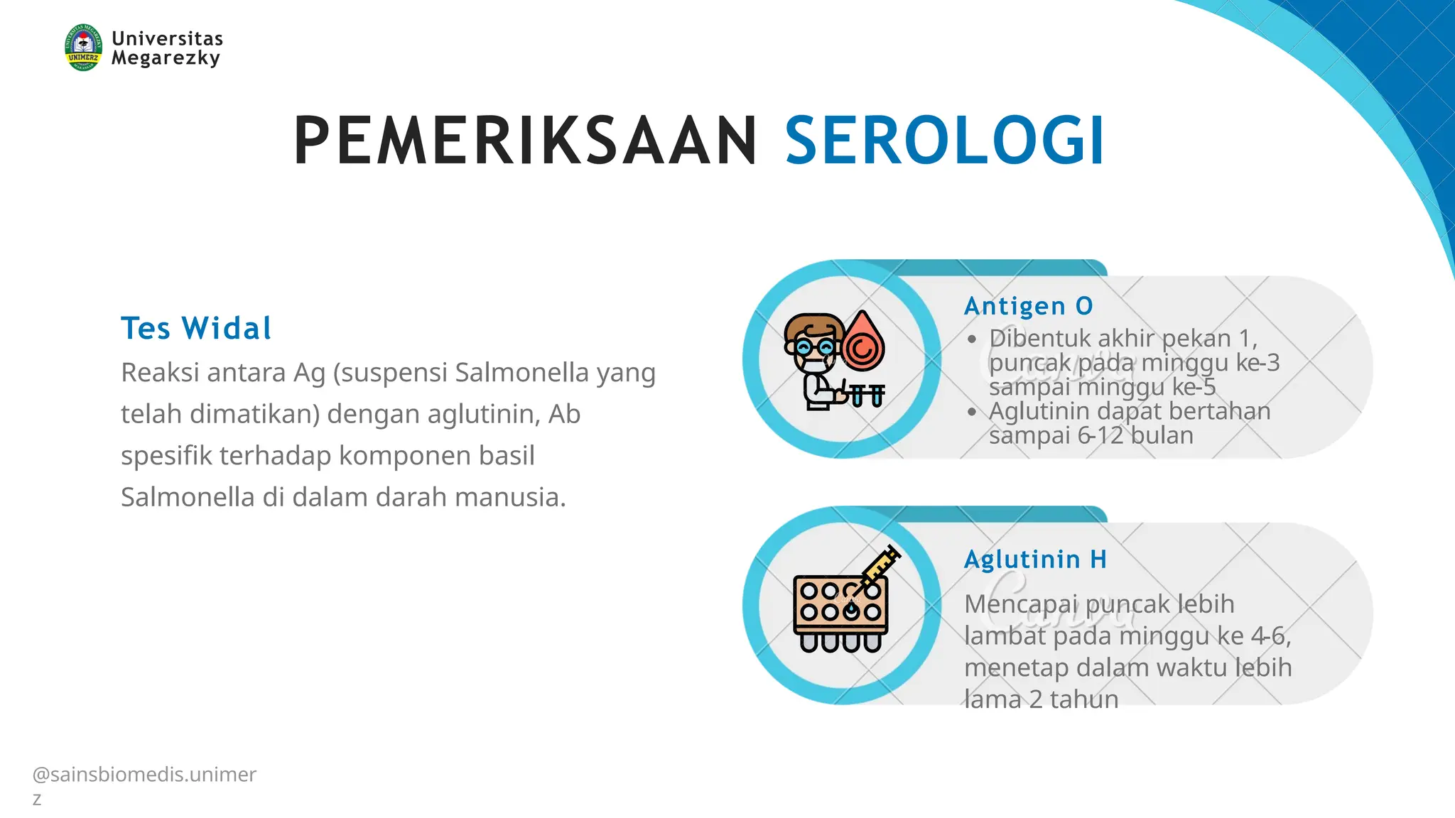 Identifikasi Bakteri dengan uji serologi.pptx