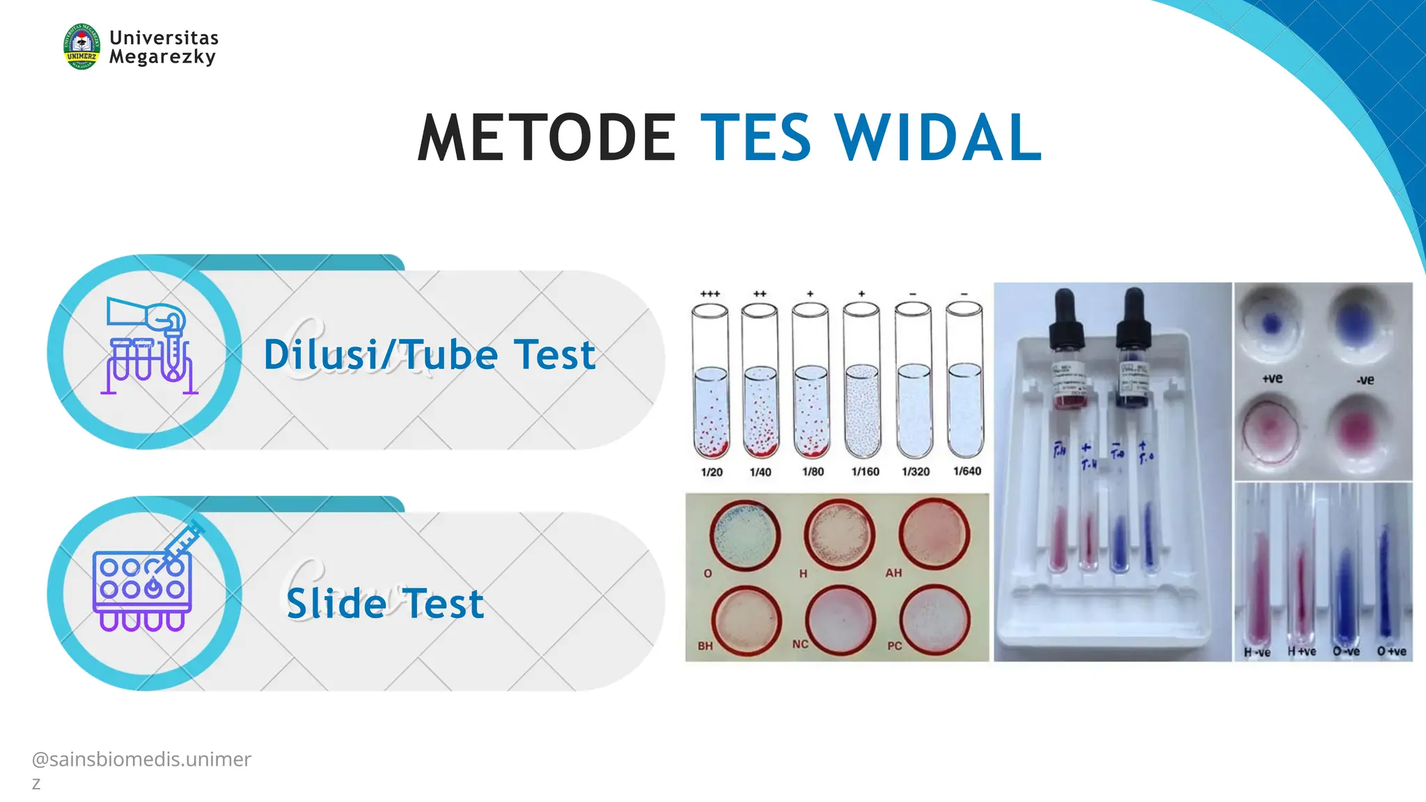 identifikasi bakteri dengan uji serologi.pptx