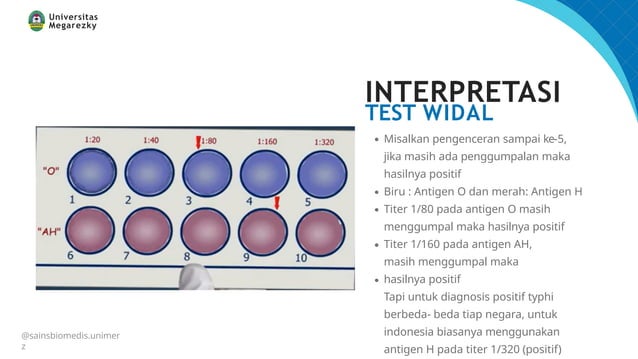 identifikasi bakteri dengan uji serologi.pptx