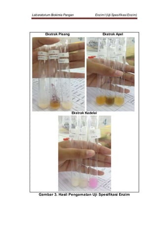 Uji Spesifikasi Enzim | DOCX