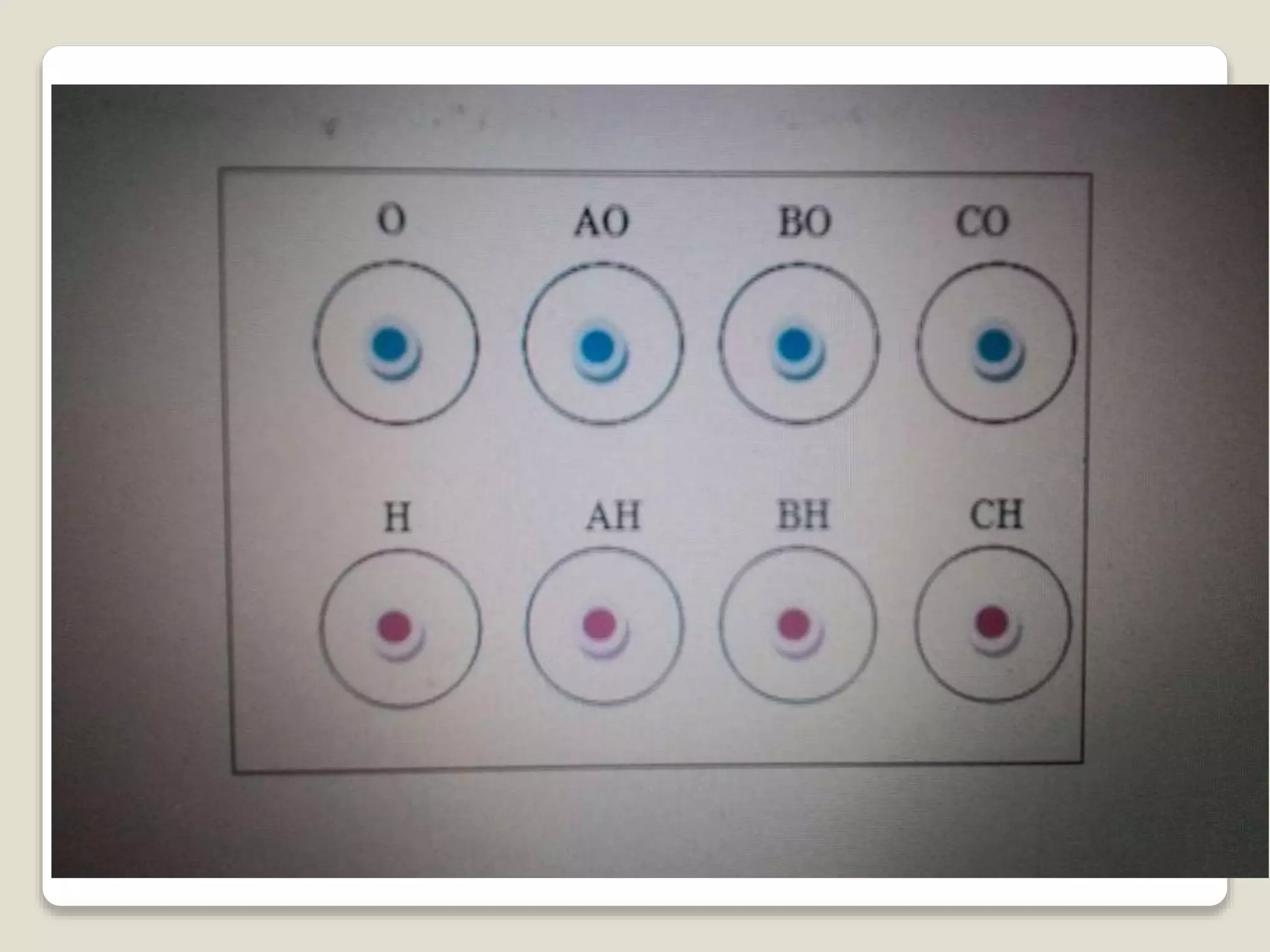 Uji widal xi tlm | PPTX