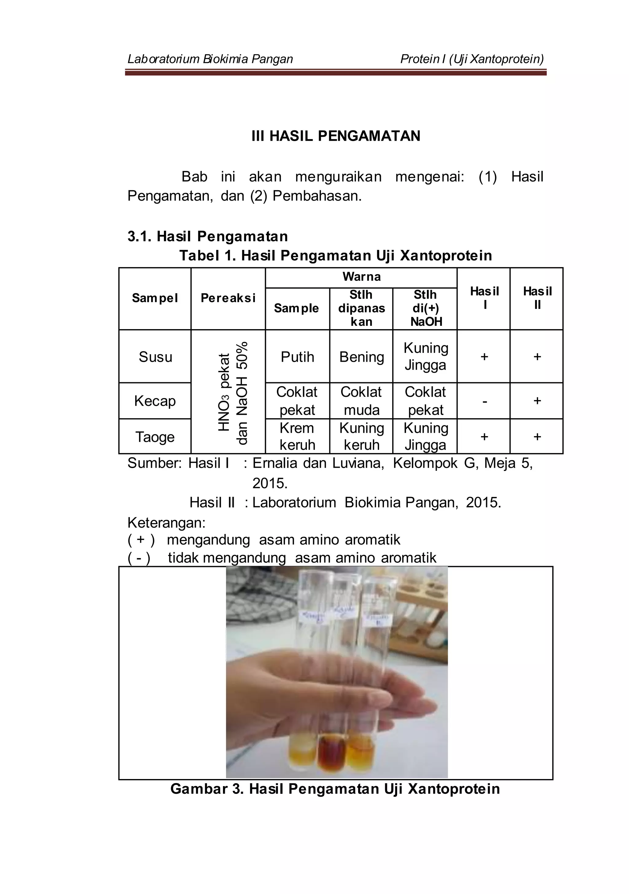 Uji Xantoprotein | DOCX