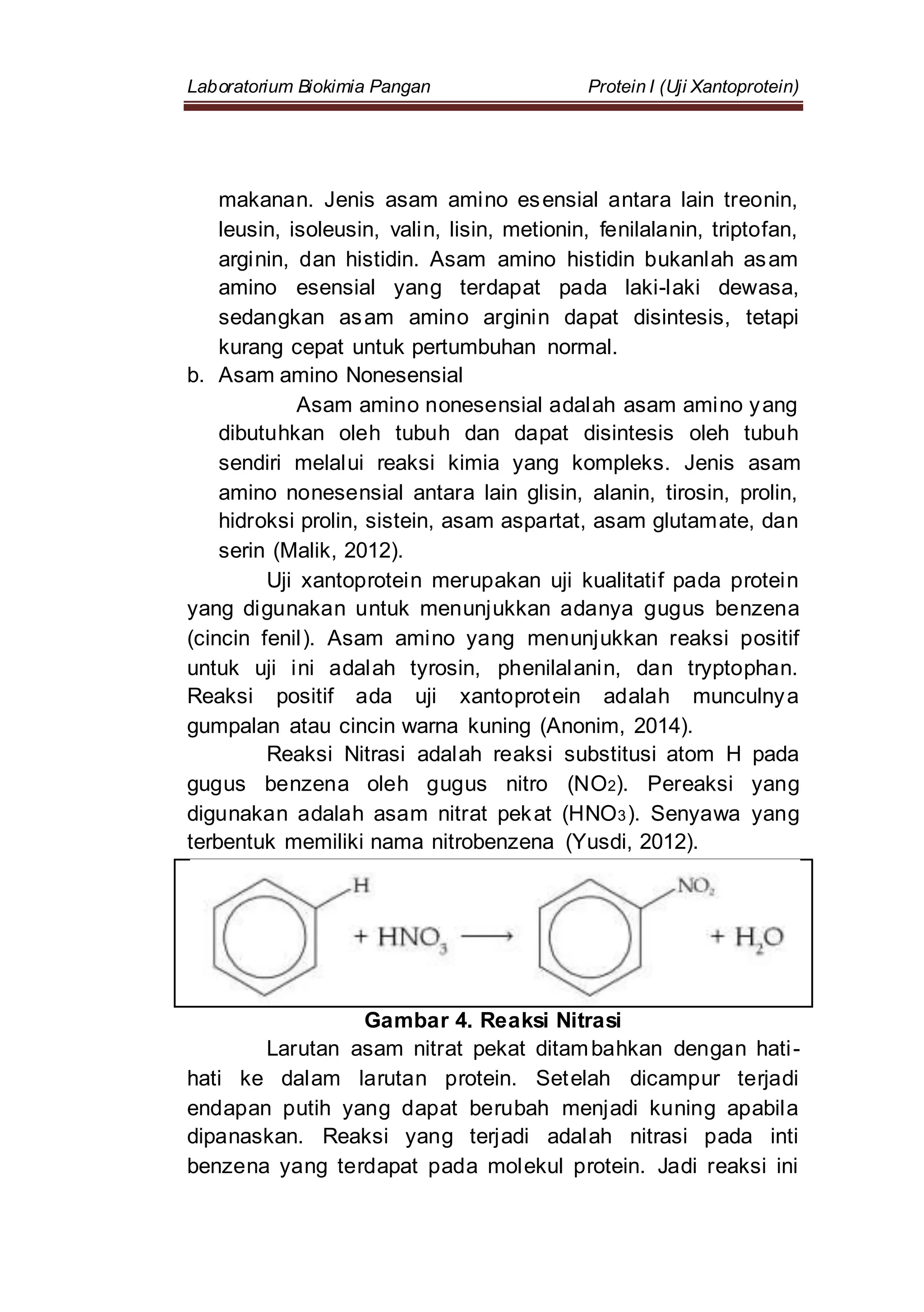 Uji Xantoprotein | DOCX