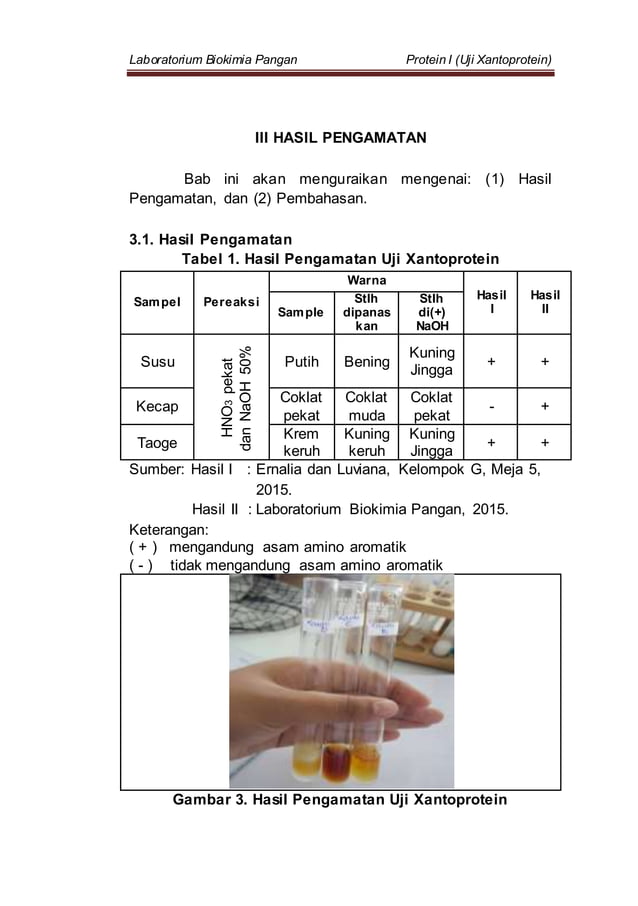 Uji Xantoprotein | DOCX