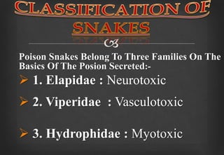 Poison appertus and biting mechanism in snakes | PPTX