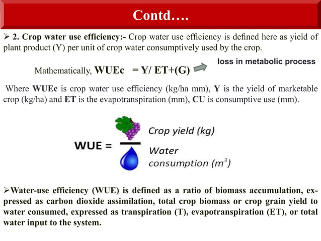 PHYSIOLOGY BEHIND WATER USE EFFICIENCY IN PLANTS | PPTX