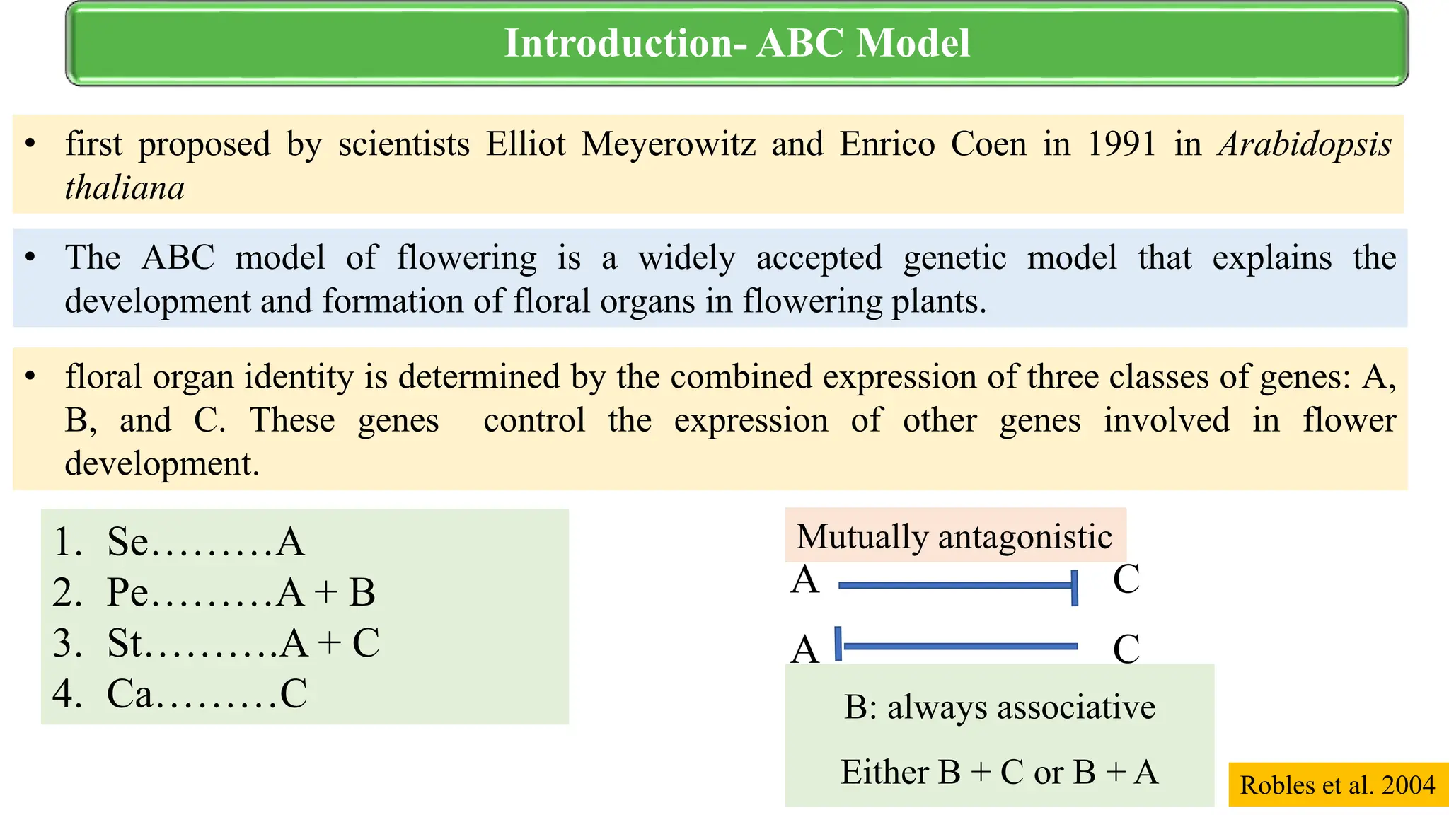 Physiological and Molecular Mechanisms Underlying Flowering | PPTX