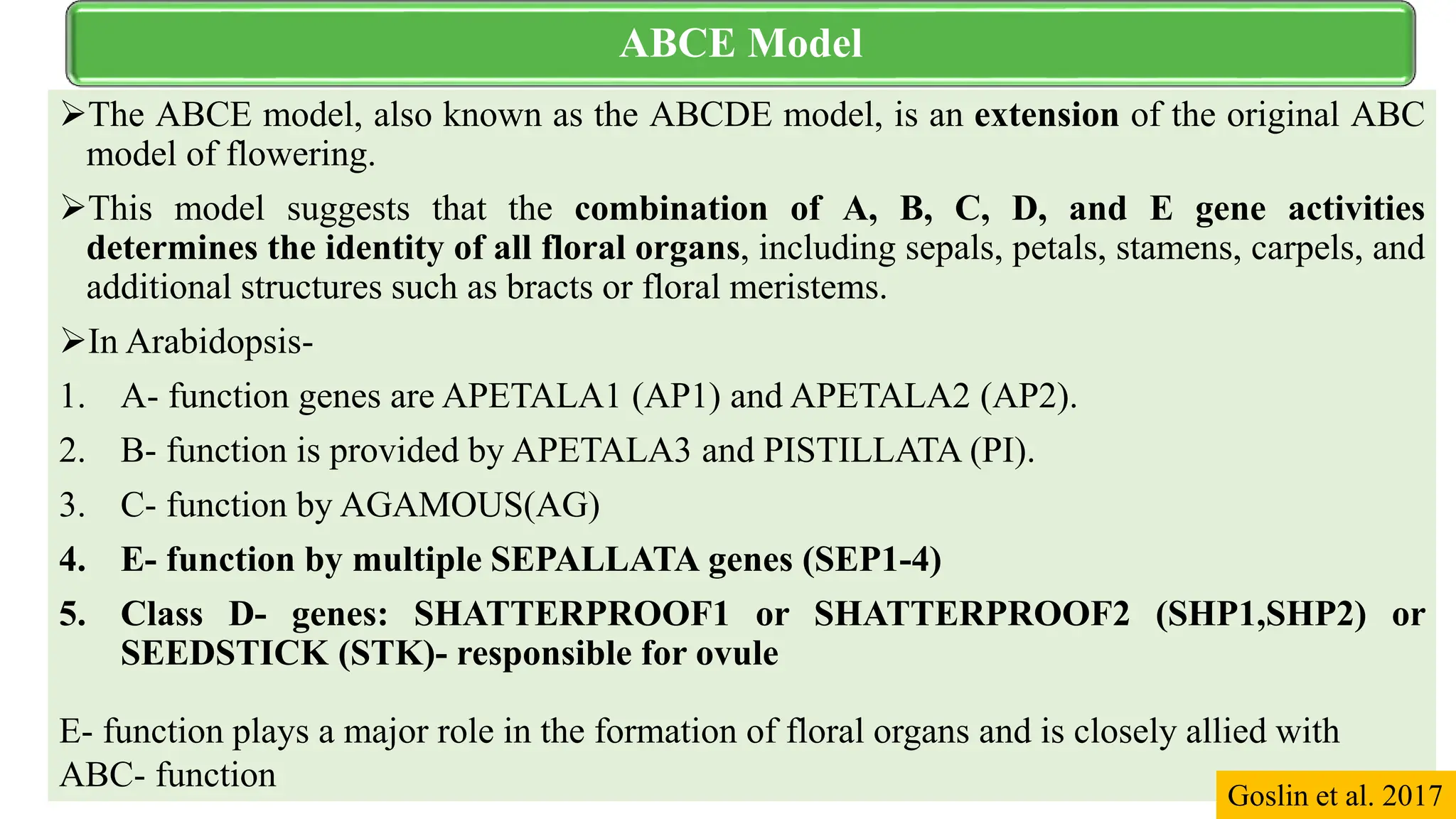 Physiological and Molecular Mechanisms Underlying Flowering | PPTX