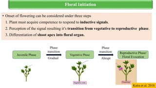 Physiological and Molecular Mechanisms Underlying Flowering | PPTX