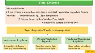 Physiological and Molecular Mechanisms Underlying Flowering | PPTX