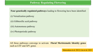 Physiological and Molecular Mechanisms Underlying Flowering | PPTX