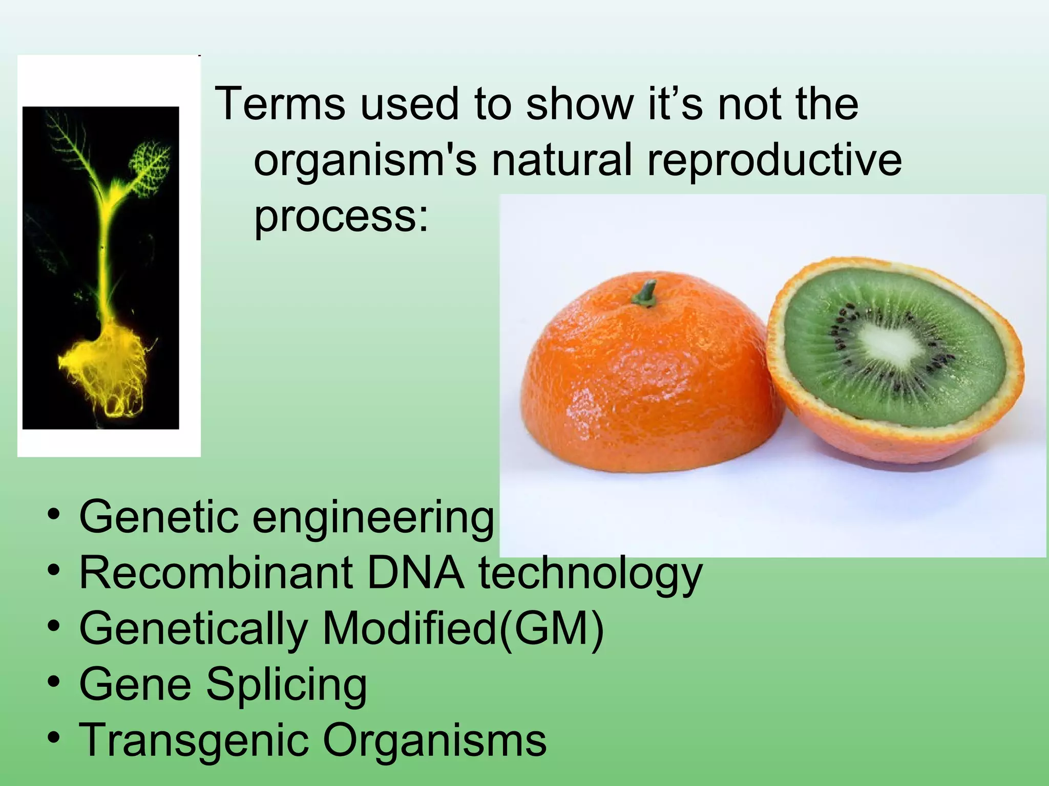 Genetic technology | PPT