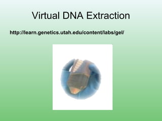 Genetic technology | PPT