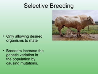 Genetic technology | PPT