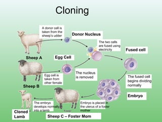 Genetic technology | PPT
