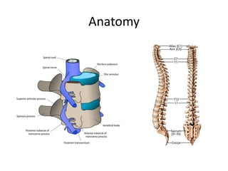 Spinal Disc Implant | PPT