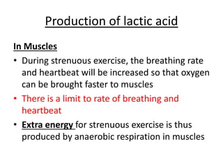 Anaerobic respiration | PPTX