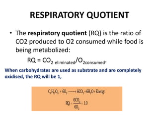 Anaerobic respiration | PPTX