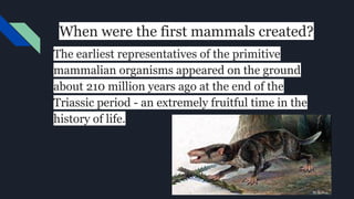 Evolution of mammals by Łukasz O | PPT