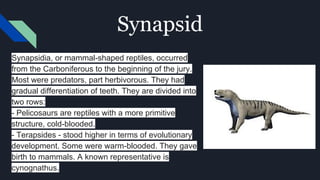 Evolution of mammals by Łukasz O | PPT