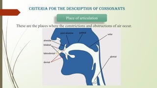 The_Description_of_Consonants.pptx