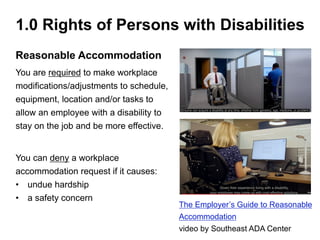 Disability Inclusive Infrastructure Presentation | PDF