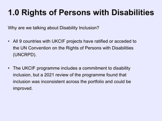 Disability Inclusive Infrastructure Presentation | PDF