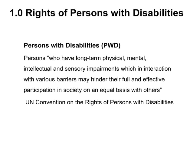 Disability Inclusive Infrastructure Presentation | PDF | Family and ...