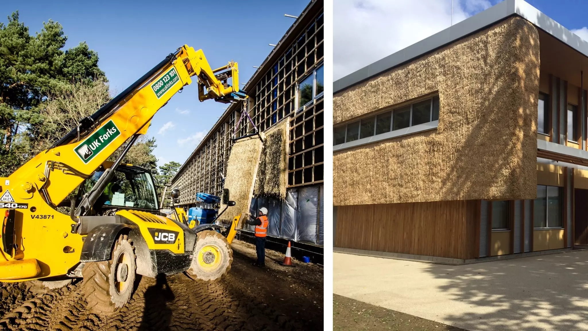 Timber & the Circular Economy - Architype | PDF