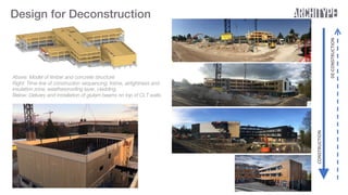 Timber & the Circular Economy - Architype | PDF