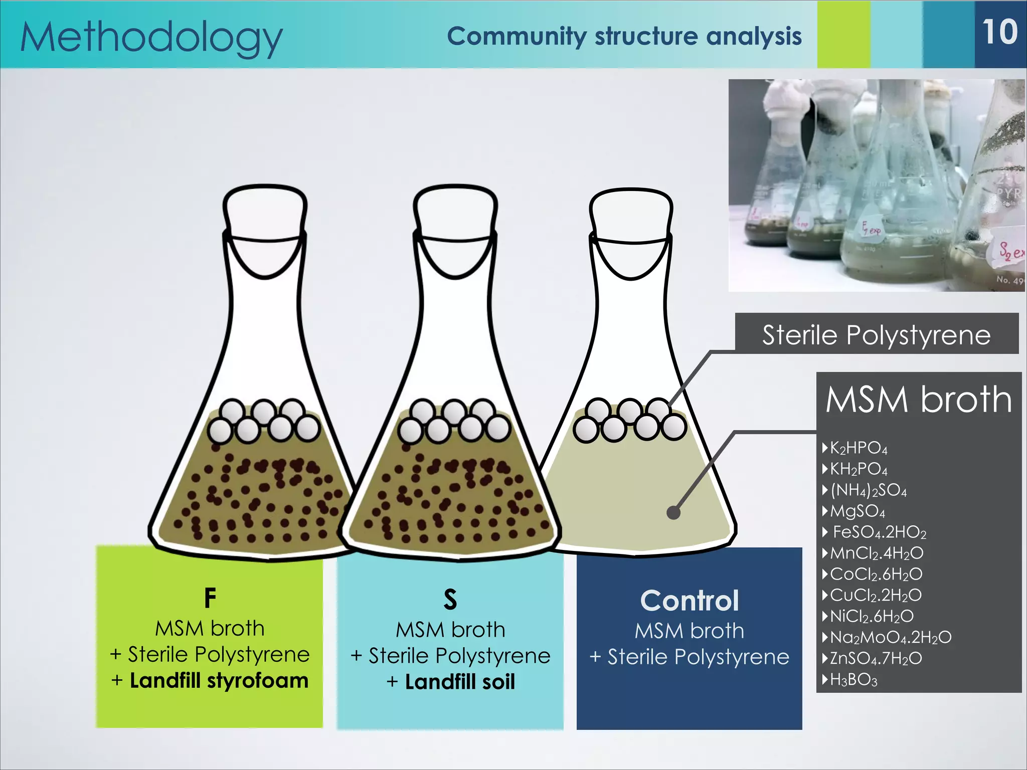 Biodegradation of Polystyrene foam by the Microorganism from Landfill | PDF