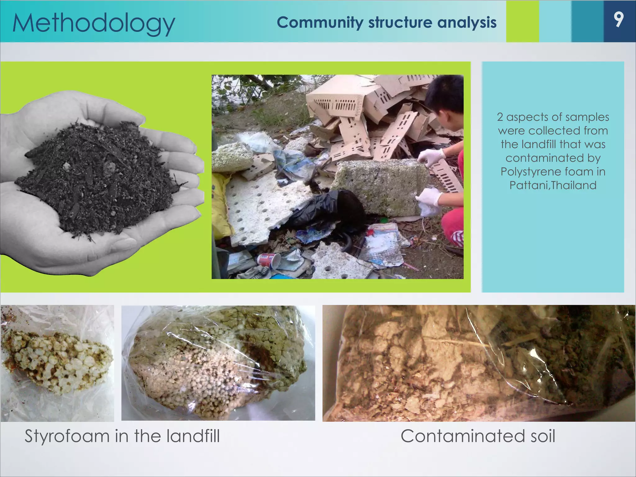 Biodegradation of Polystyrene foam by the Microorganism from Landfill | PDF
