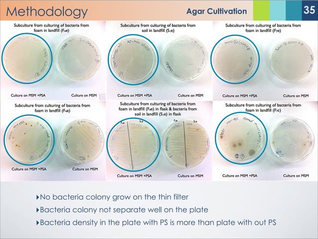 Biodegradation of Polystyrene foam by the Microorganism from Landfill | PDF