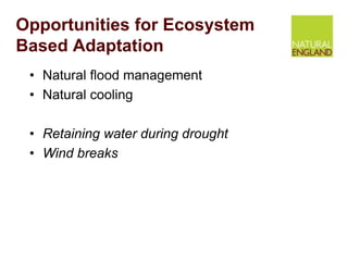 Ecosystem based adaptation: the UK's experience | PPT