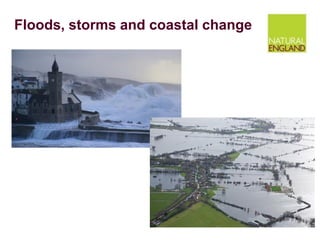 Ecosystem based adaptation: the UK's experience | PPT | Free Download