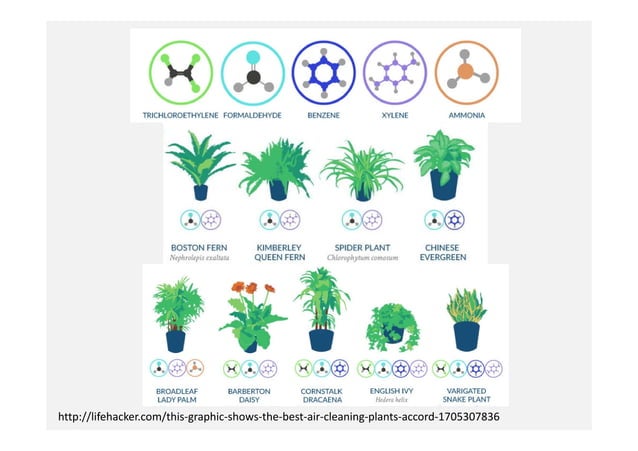 Improving indoor environmental quality and supporting health and ...