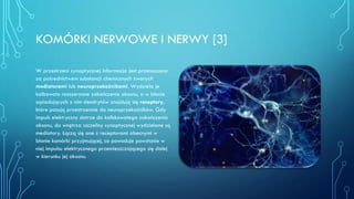 Układ nerwowy | PPT
