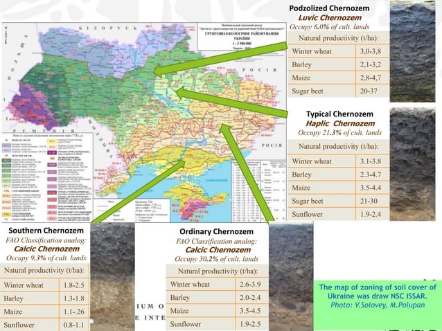 Status of Black Soils in Ukraine | PPTX