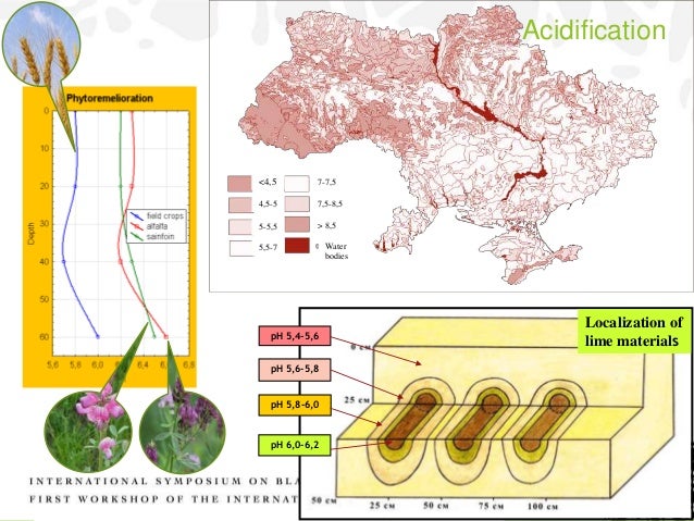 Status of Black Soils in Ukraine