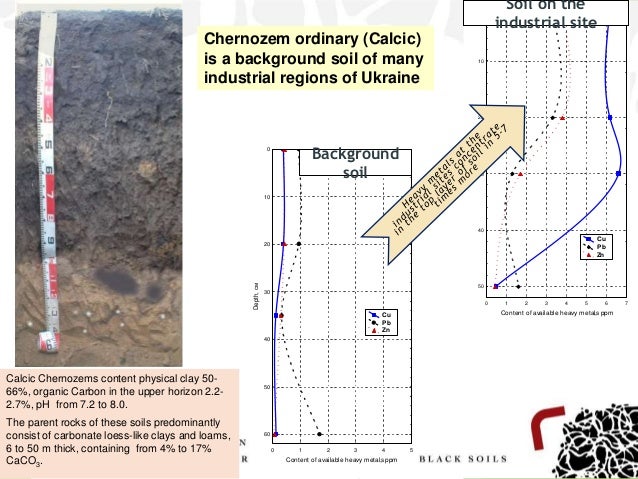 Status of Black Soils in Ukraine