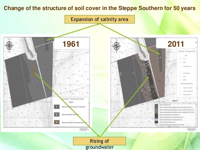 Status of Black Soils in Ukraine